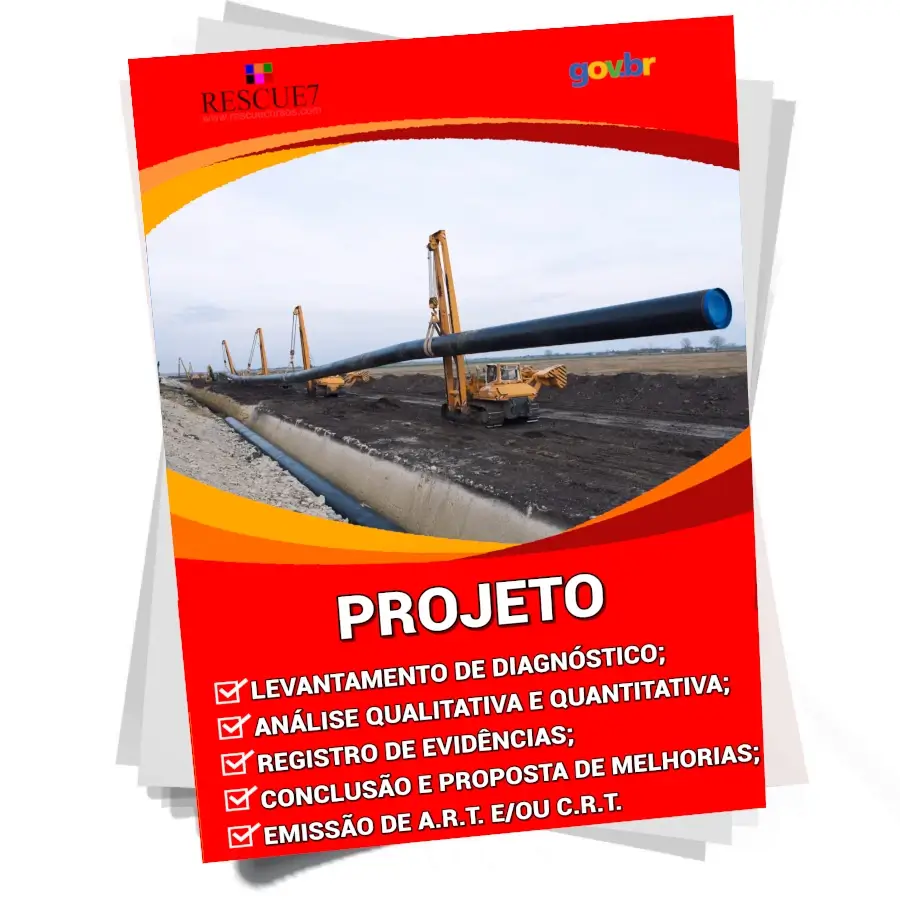 Projeto de Plano de Rigger